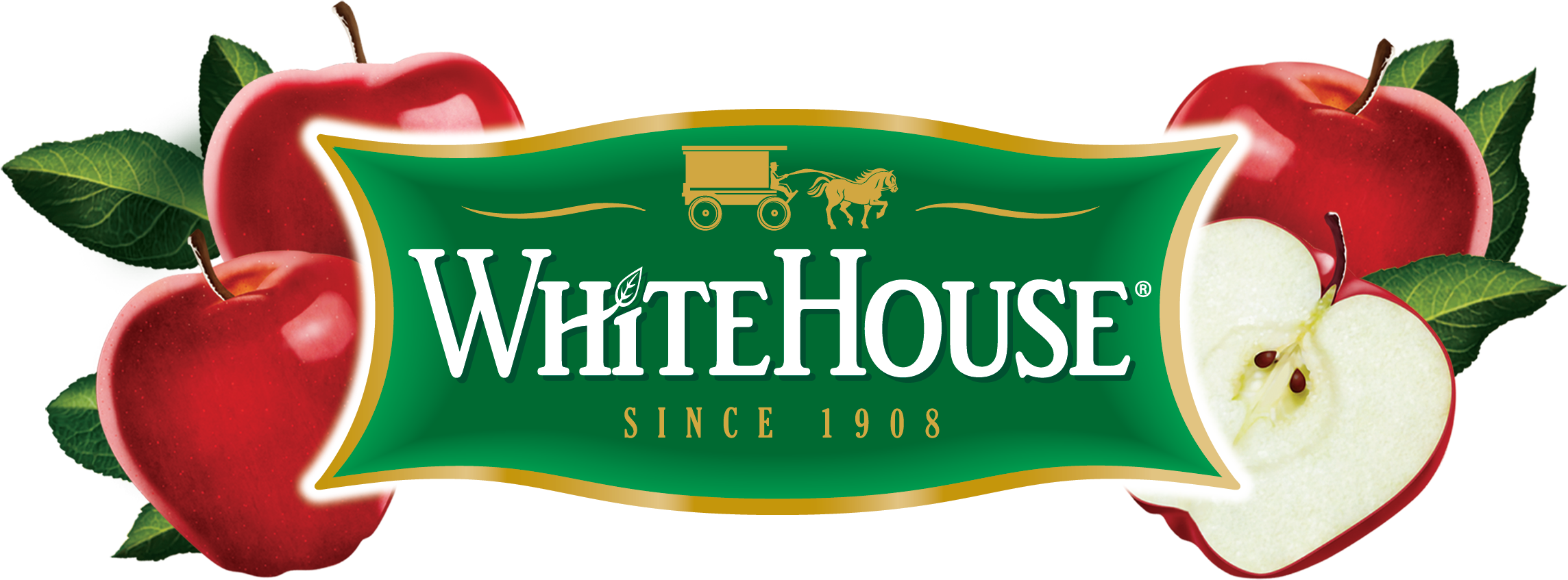 White House Logo